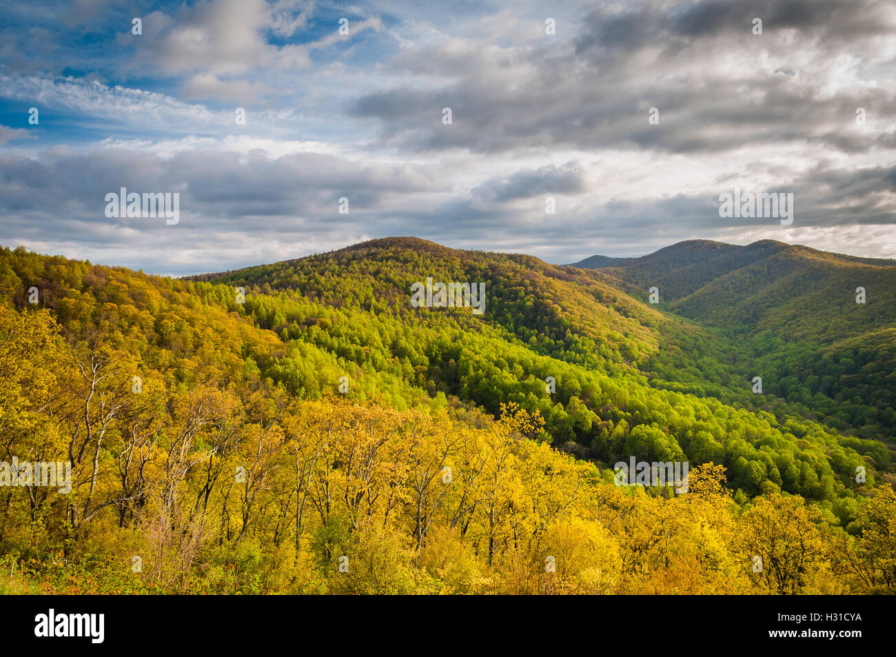 Early spring view of the Blue Ridge Mountains in Shenandoah National ...