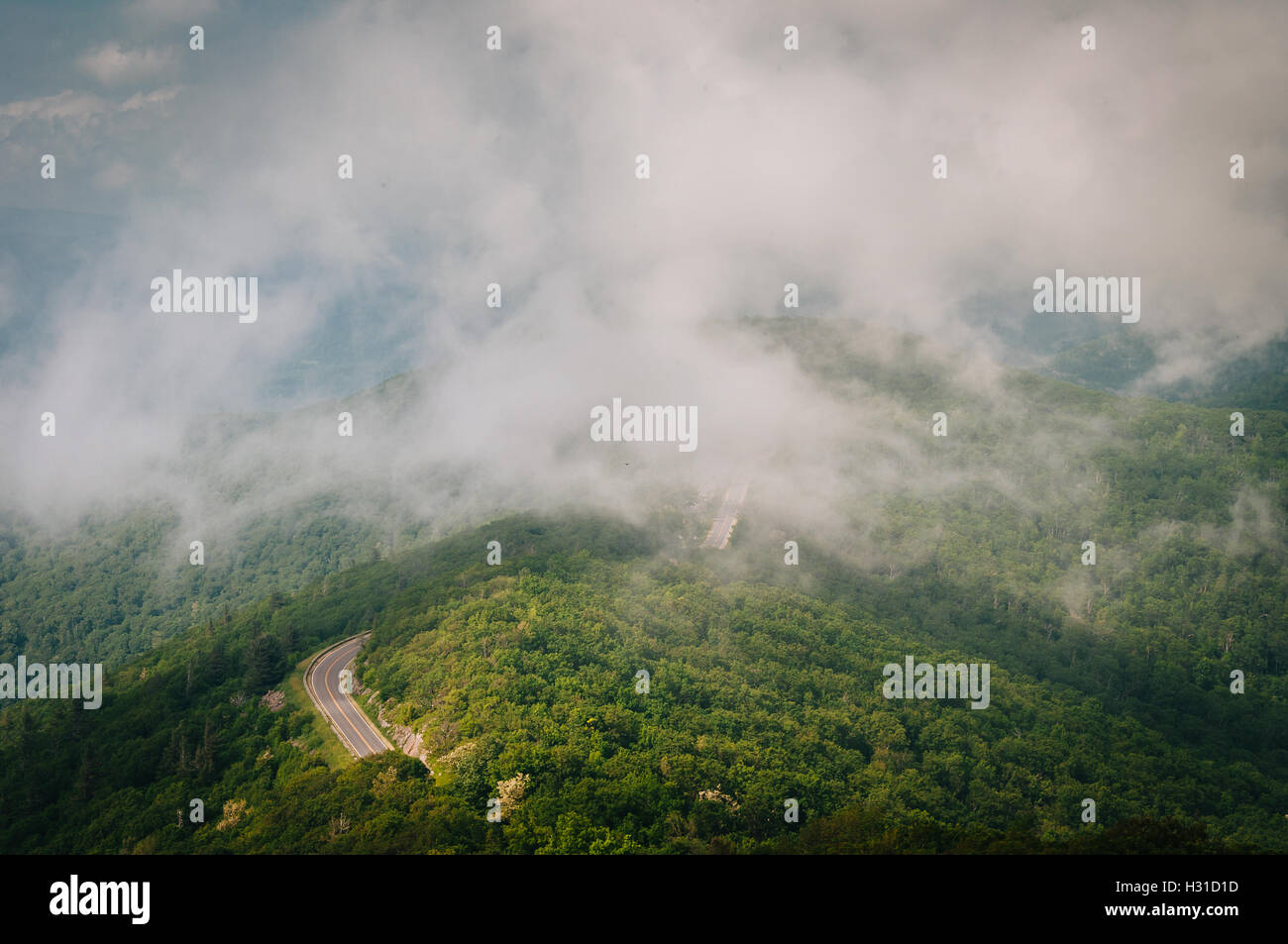 Fog over the Blue Ridge Mountains, seen from Little Stony Man Cliffs in ...