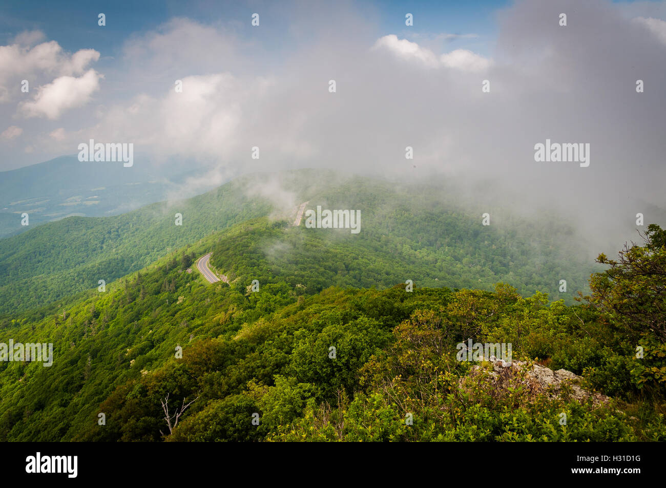 Fog over the Blue Ridge Mountains, seen from Little Stony Man Cliffs in ...