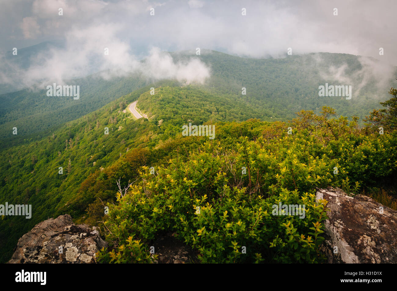 Fog over the Blue Ridge Mountains, seen from Little Stony Man Cliffs in ...