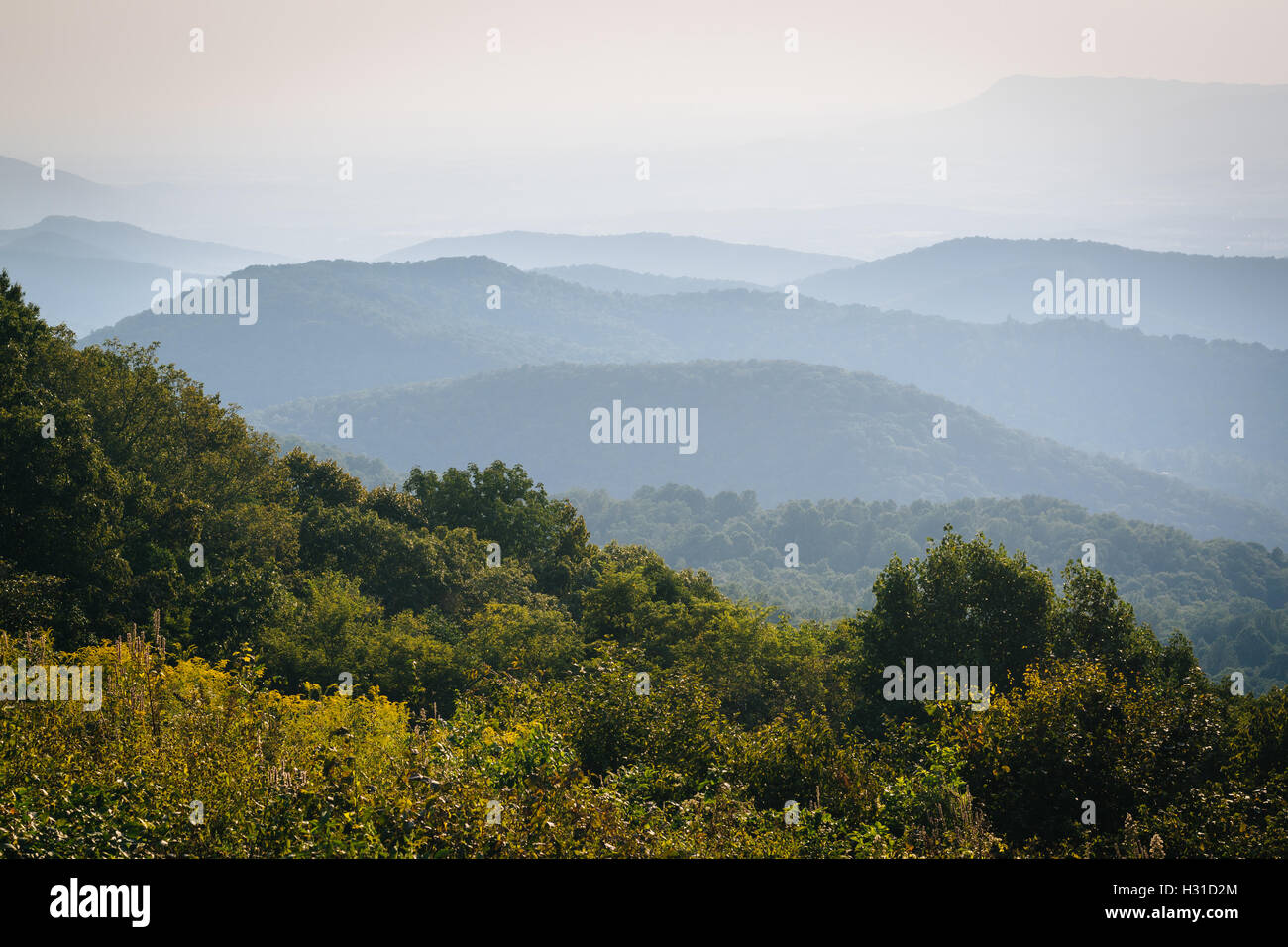 Layers of the Blue Ridge, seen from Skyline Drive, in Shenandoah ...