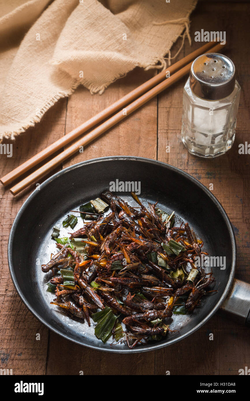 Fried grasshopper hi-res stock photography and images - Alamy