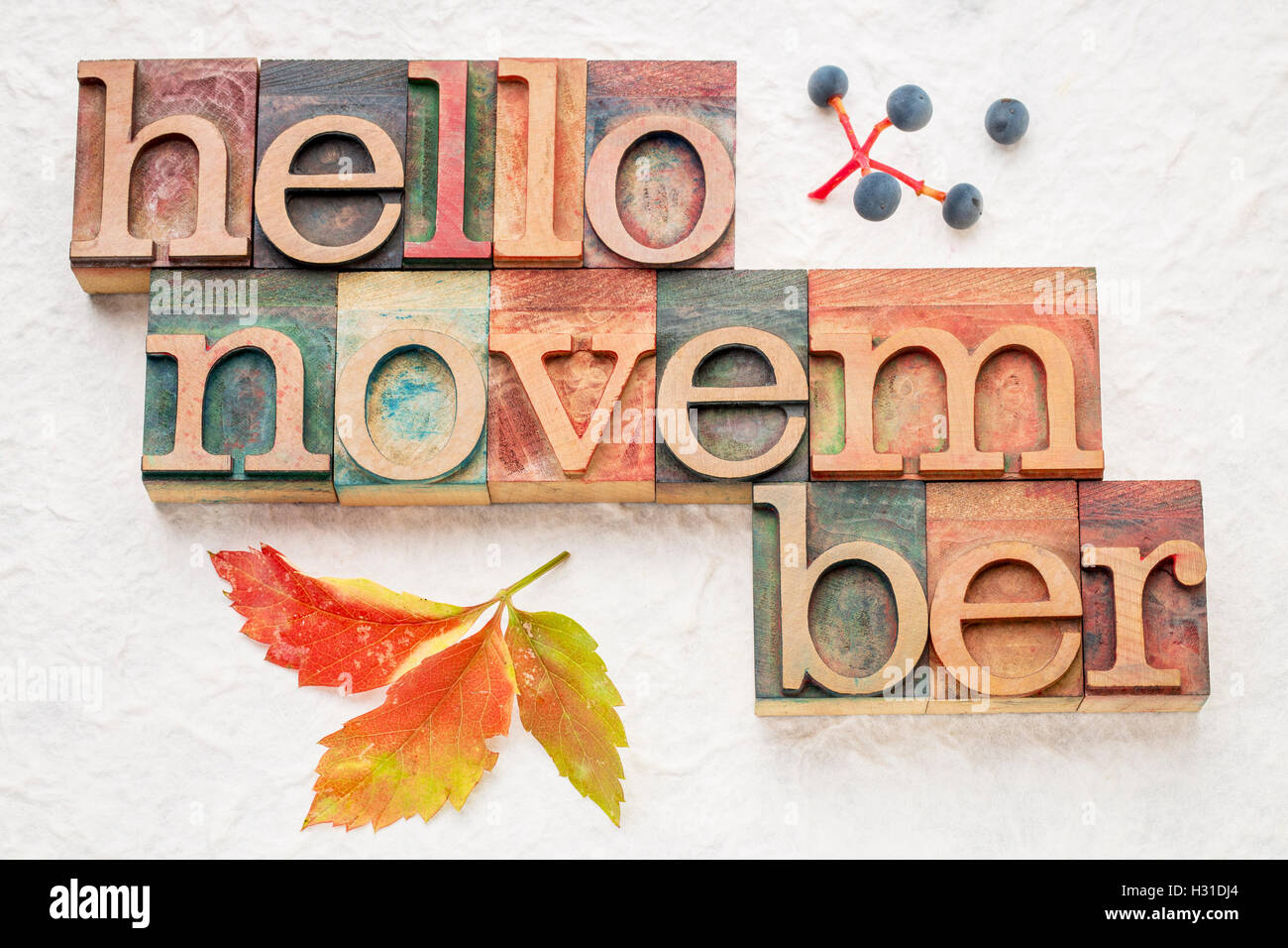 Hello November greeting card - letterpress wood type blocks against ...