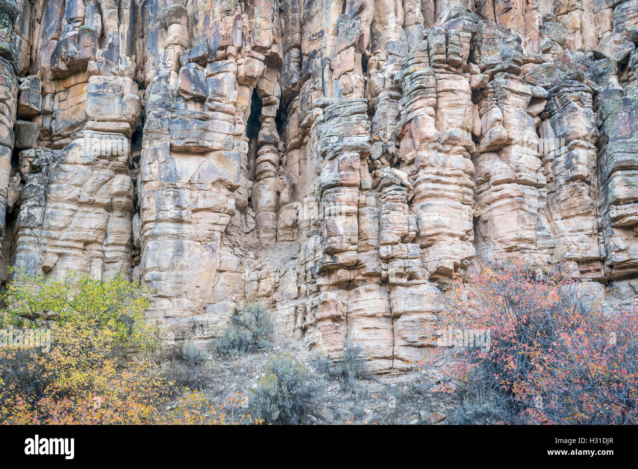 sandstone cliff with columns and pillars, shrubs in fall colors ...