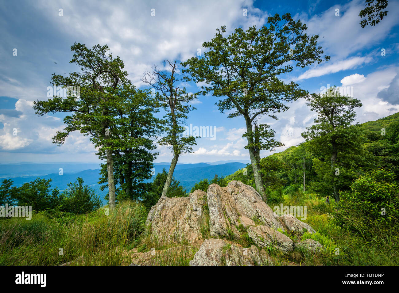 Hollow rocks hi-res stock photography and images - Alamy