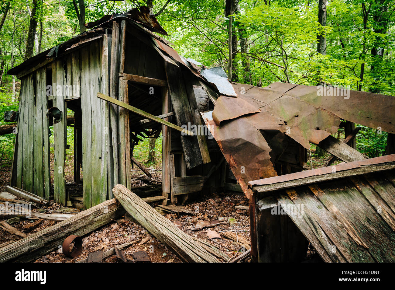Mission hills park hi-res stock photography and images - Alamy