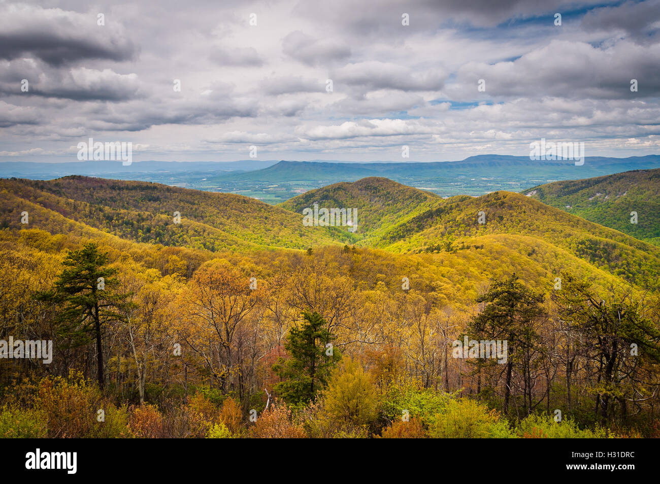 Spring view of the Blue Ridge Mountains and Shenandoah Valley, from ...
