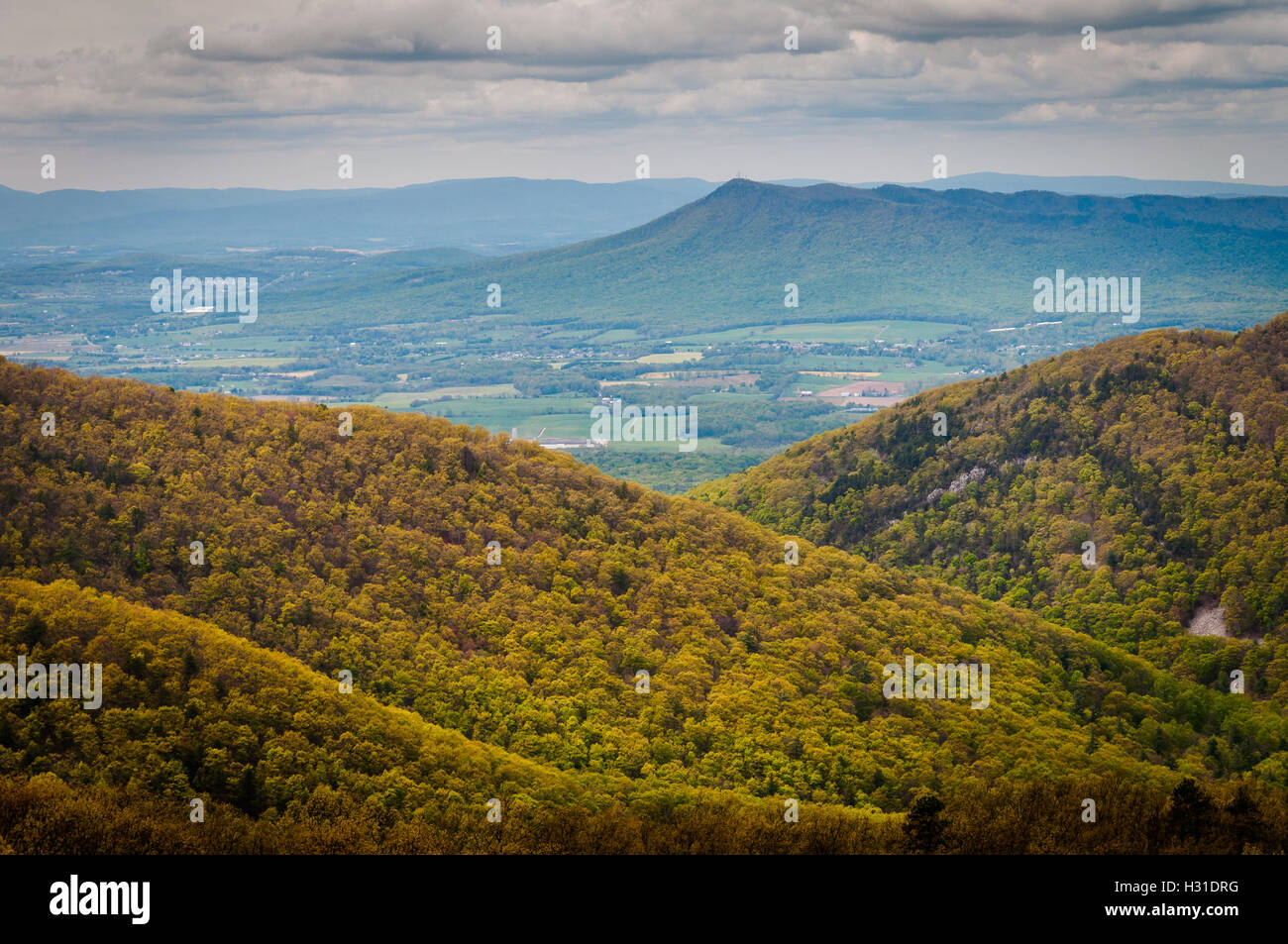 Spring view of the Blue Ridge Mountains and Shenandoah Valley, from ...
