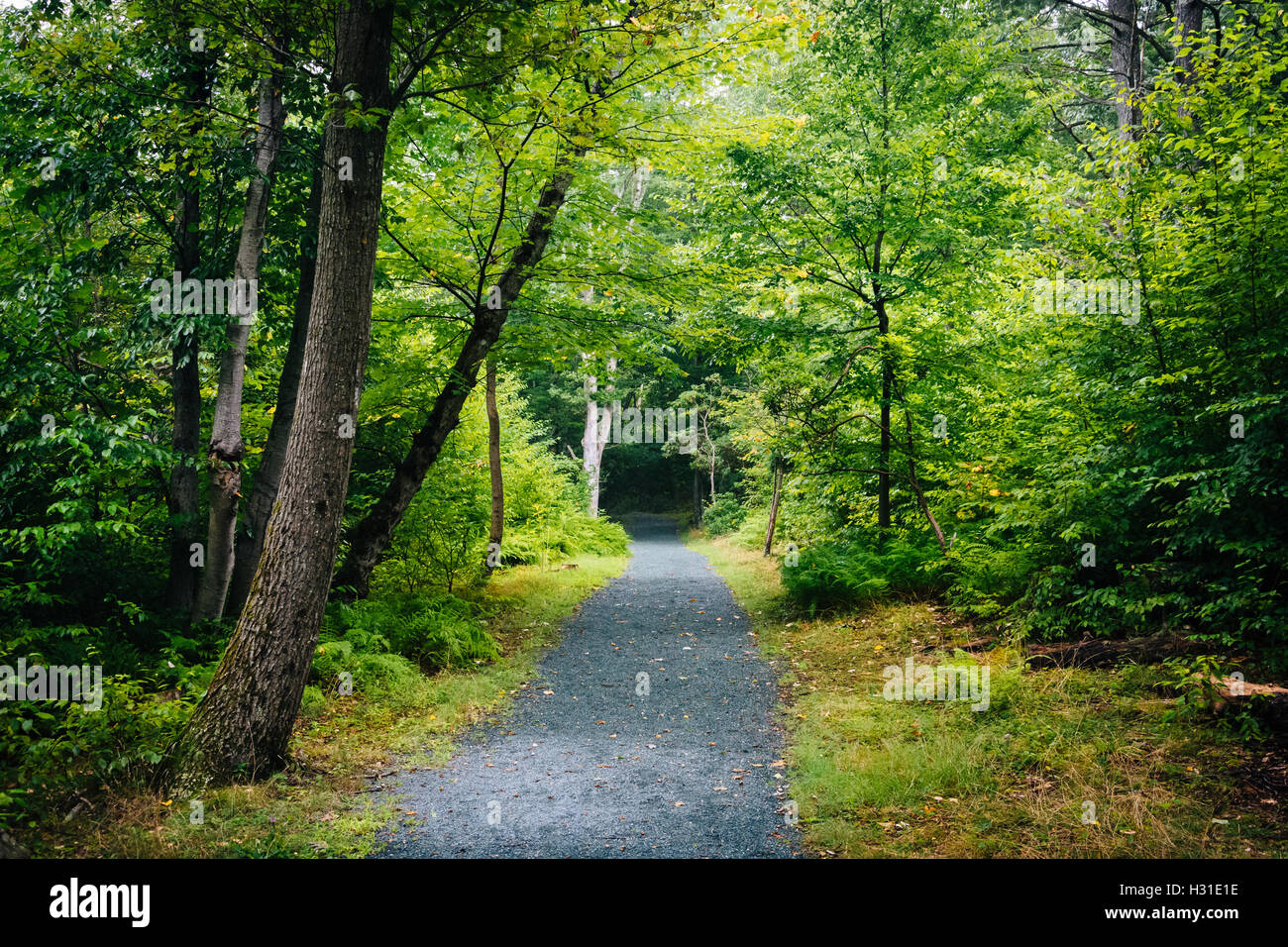 Limberlost park hi-res stock photography and images - Alamy