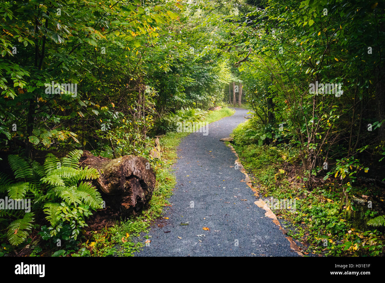 Limberlost park hi-res stock photography and images - Alamy