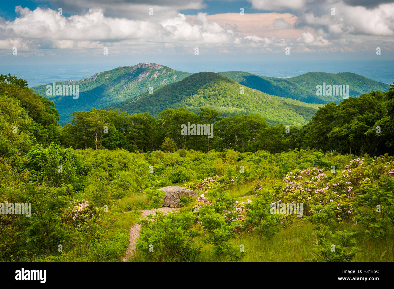 View of Old Rag Mountain from Thoroughfare Overlook, on Skyline Drive ...