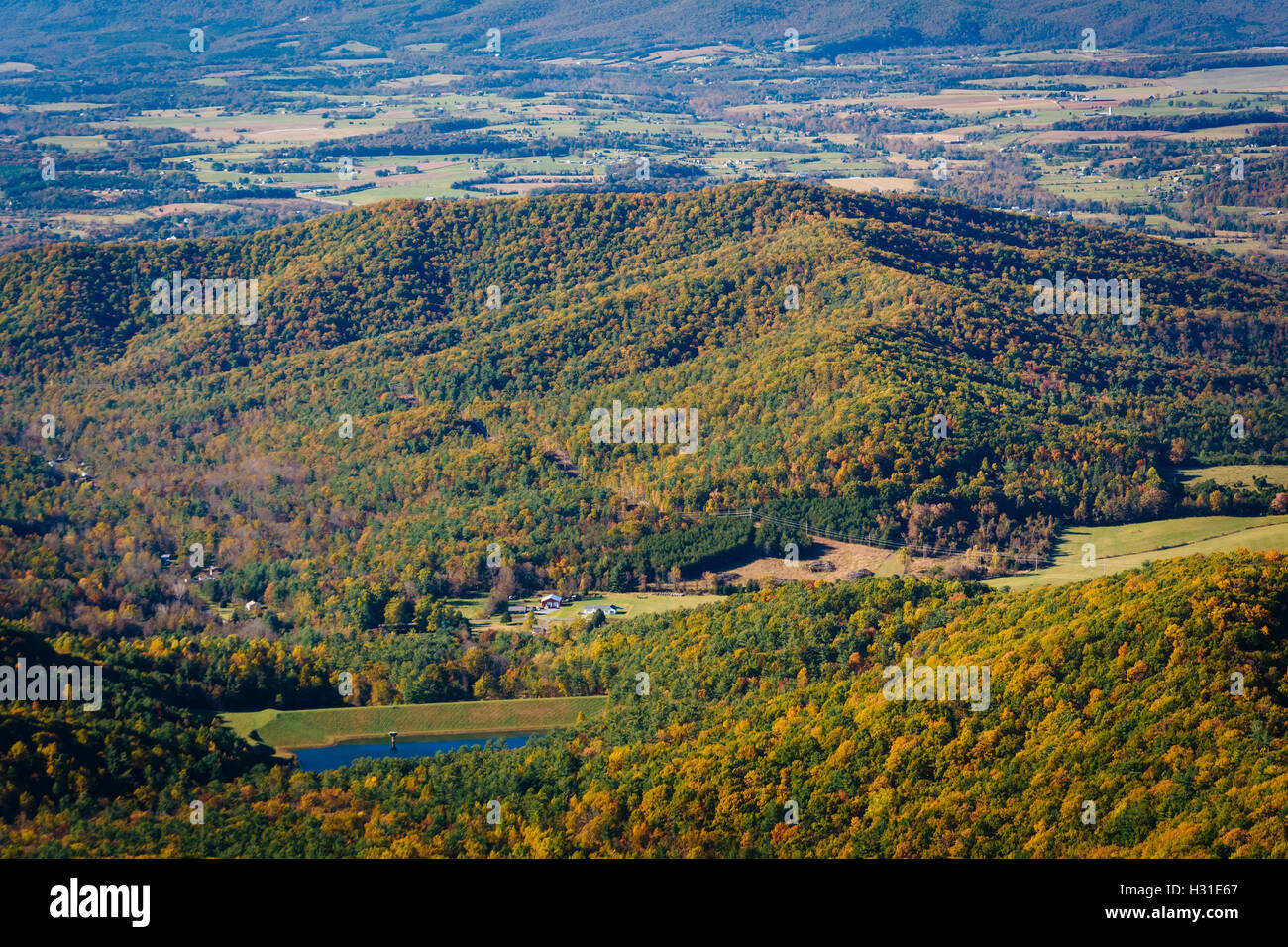 View of fall color in the Shenandoah Valley, from Skyline Drive in ...