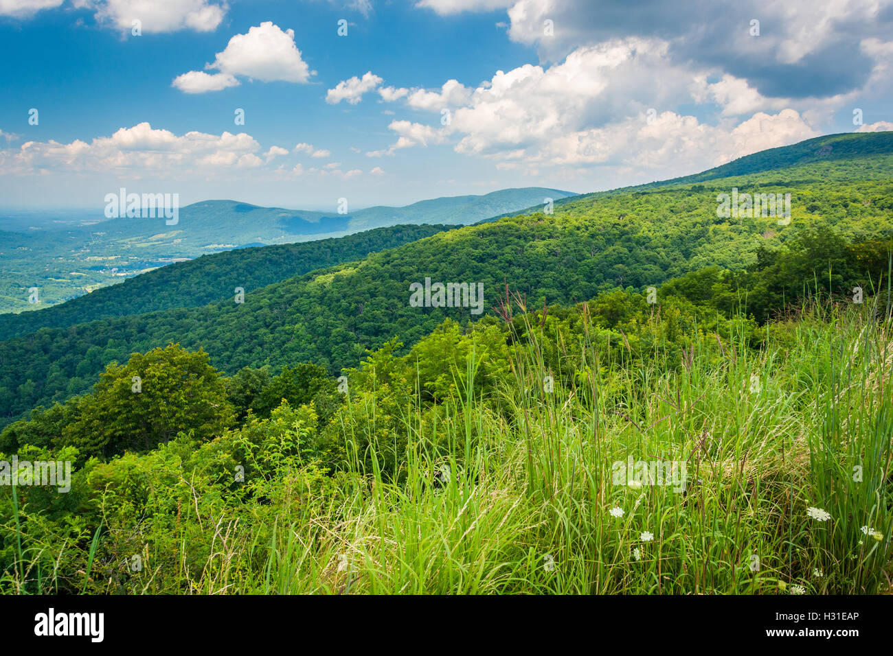 View of the Blue Ridge Mountains and Shenandoah Valley, from Skyline ...