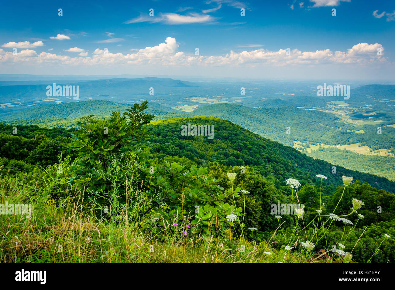View of the Blue Ridge Mountains and Shenandoah Valley, from Skyline ...