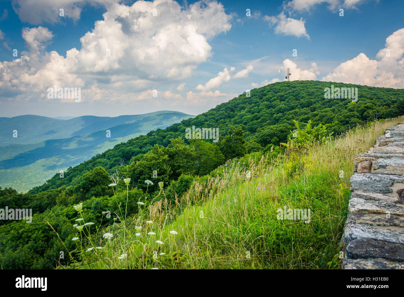 View of the Blue Ridge Mountains and Shenandoah Valley, from Skyline ...