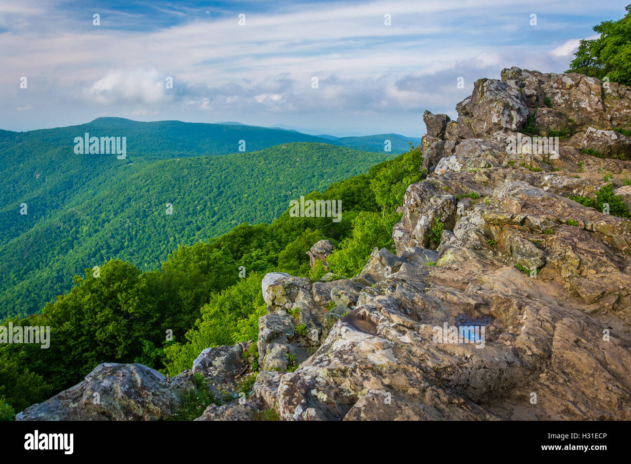 View of the Blue Ridge Mountains from Hawksbill Summit, in Shenandoah ...