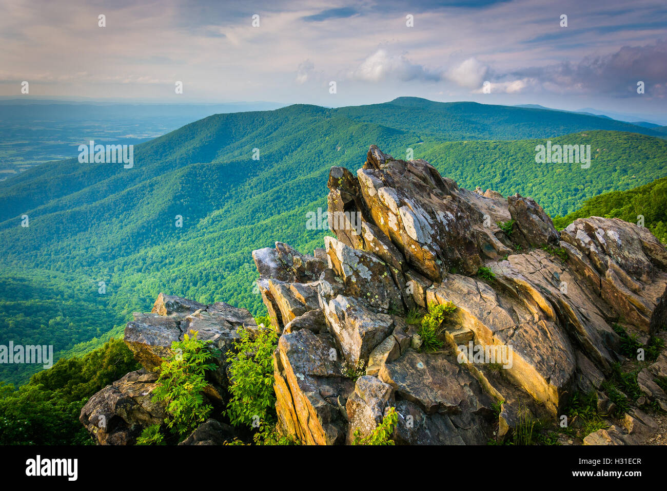 View of the Blue Ridge Mountains from Hawksbill Summit, in Shenandoah ...