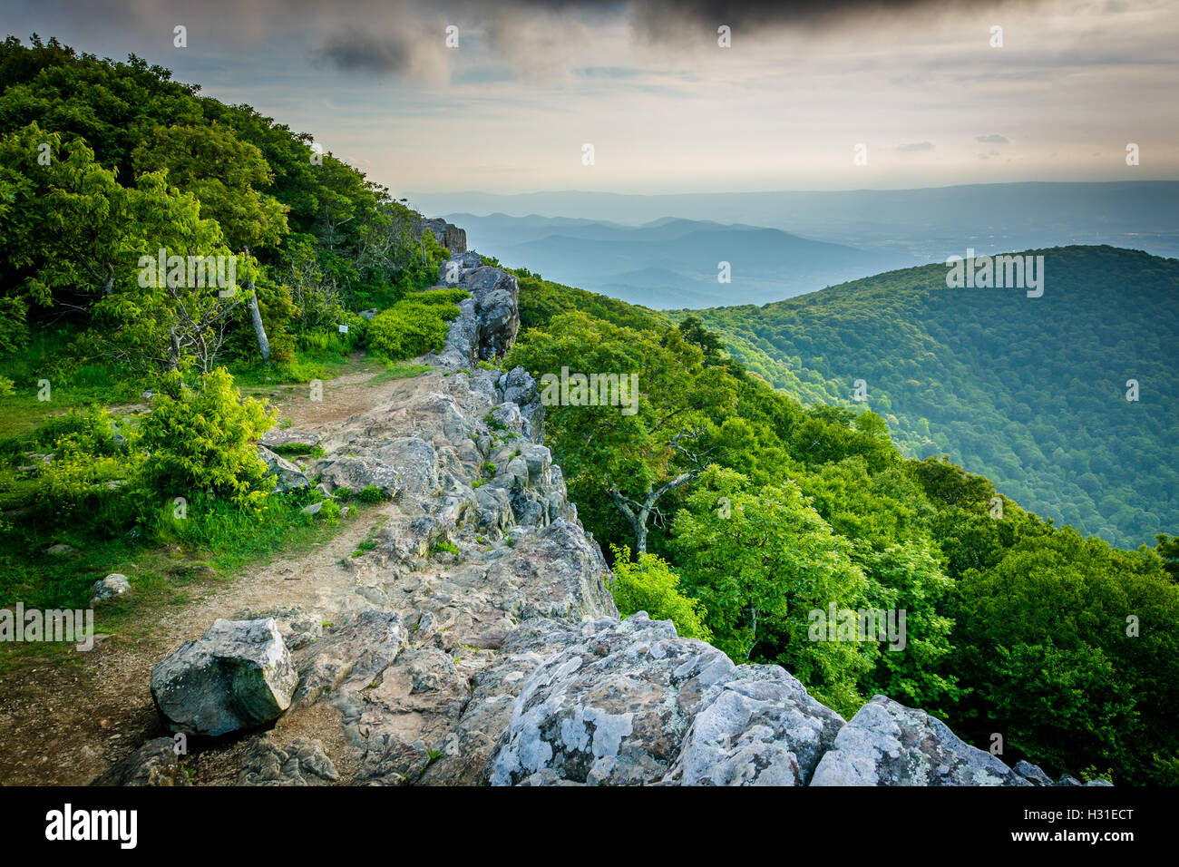 View of the Blue Ridge Mountains from Hawksbill Summit, in Shenandoah ...