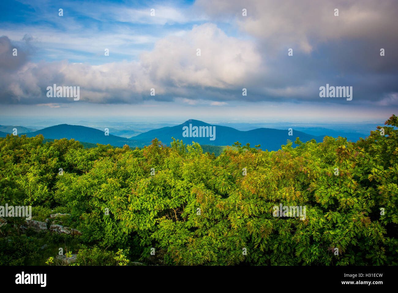 View of the Blue Ridge Mountains from Hawksbill Summit, in Shenandoah ...