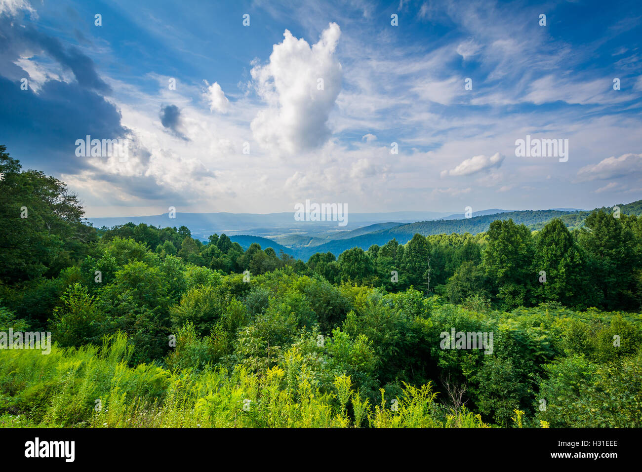 View of the Blue Ridge Mountains from Skyline Drive in Shenandoah ...