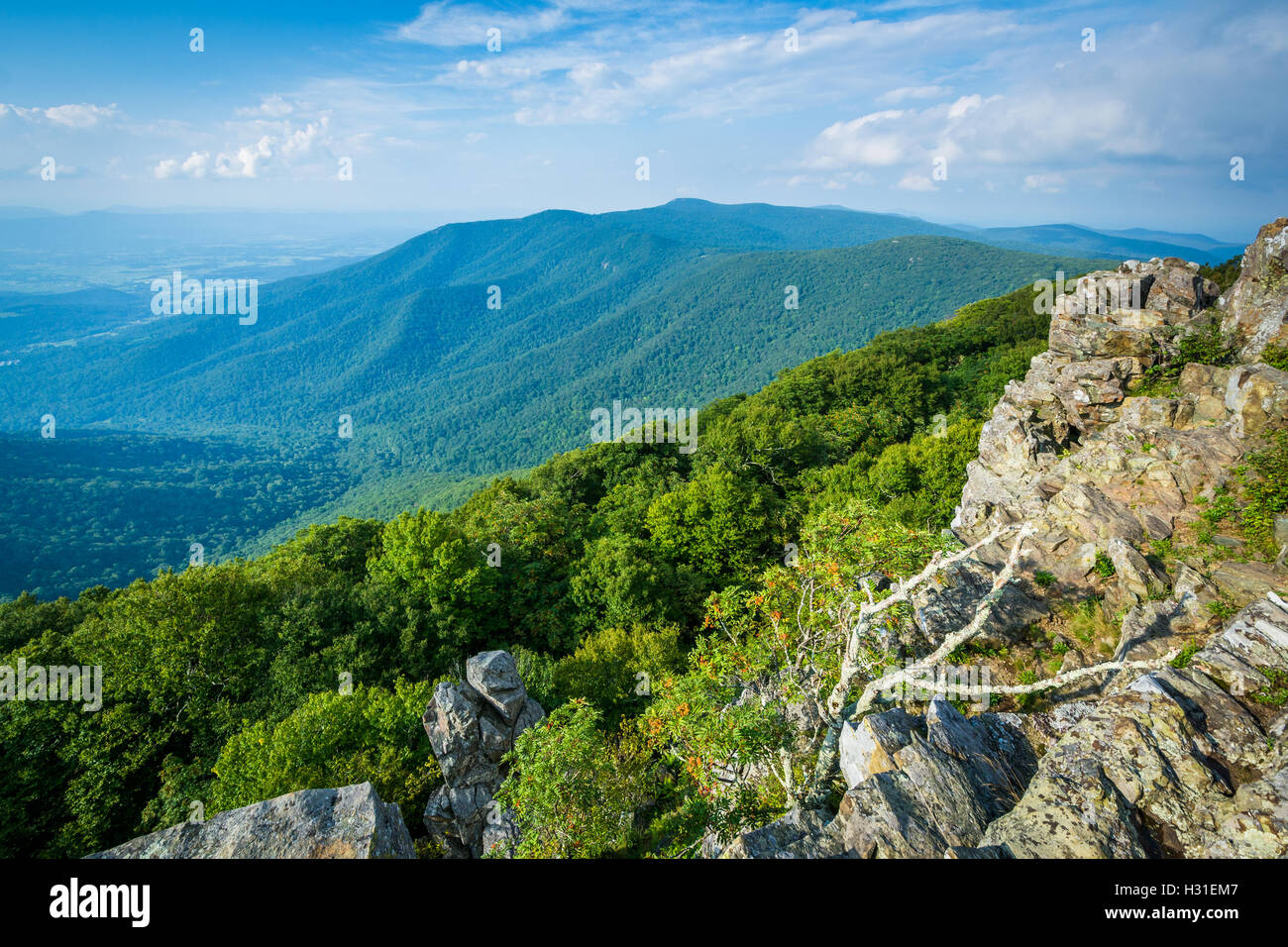 View of the Shenandoah Valley and Blue Ridge from Hawksbill Summit, in ...
