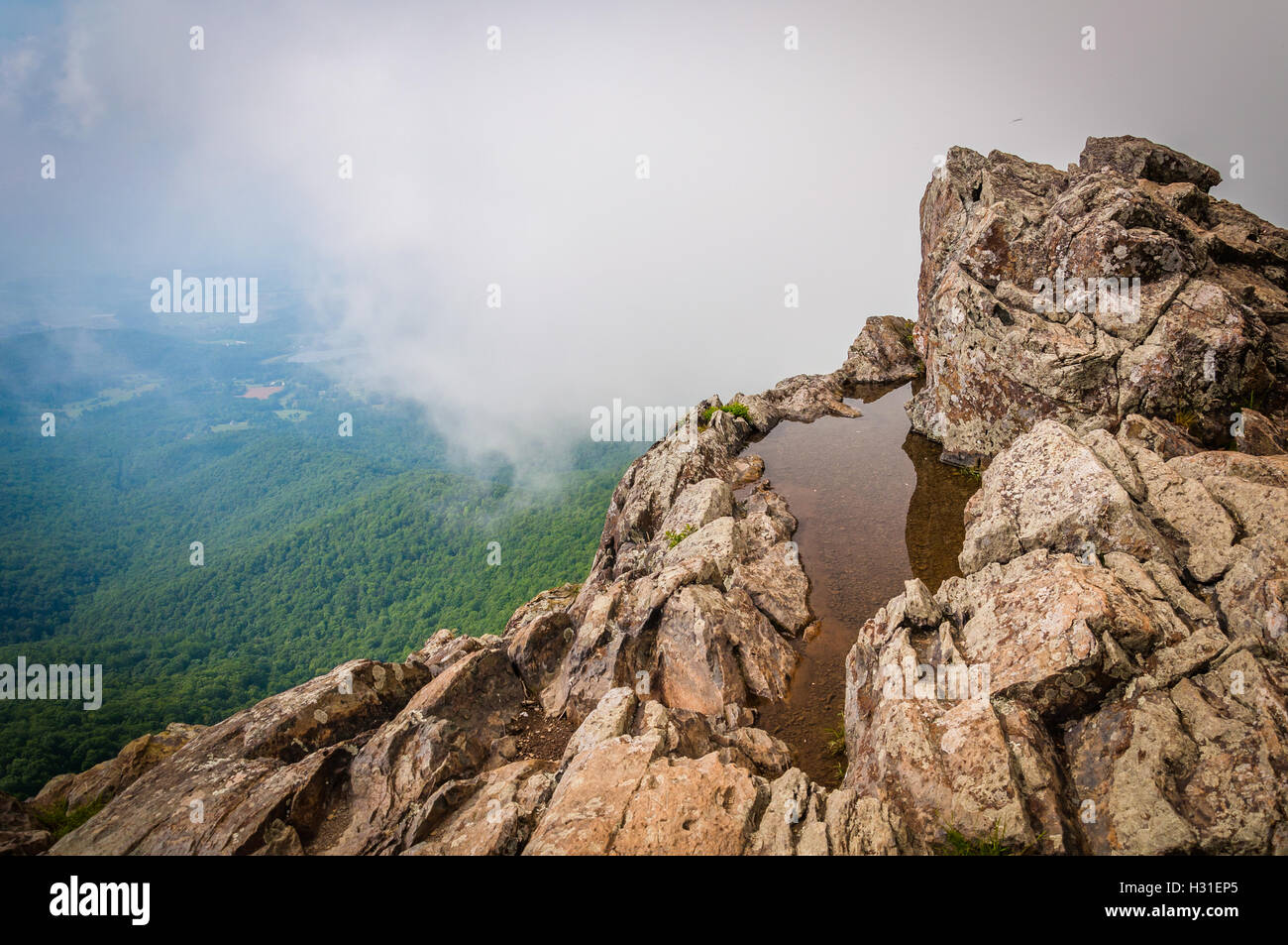 Water puddle on Little Stony Man Cliffs and foggy view of the Blue ...