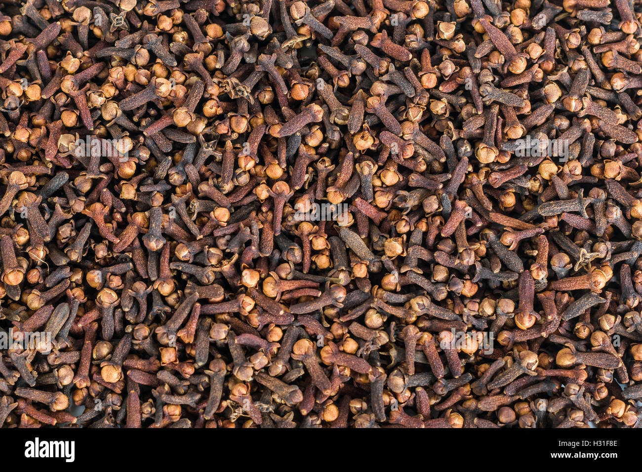 Lavang hi-res stock photography and images - Alamy
