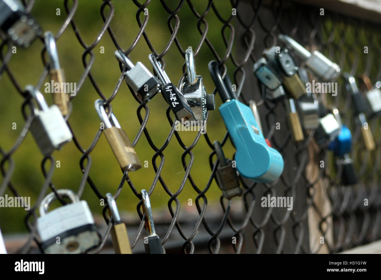 Locks hanged by people on the bridge over James River on Lynchburg ...