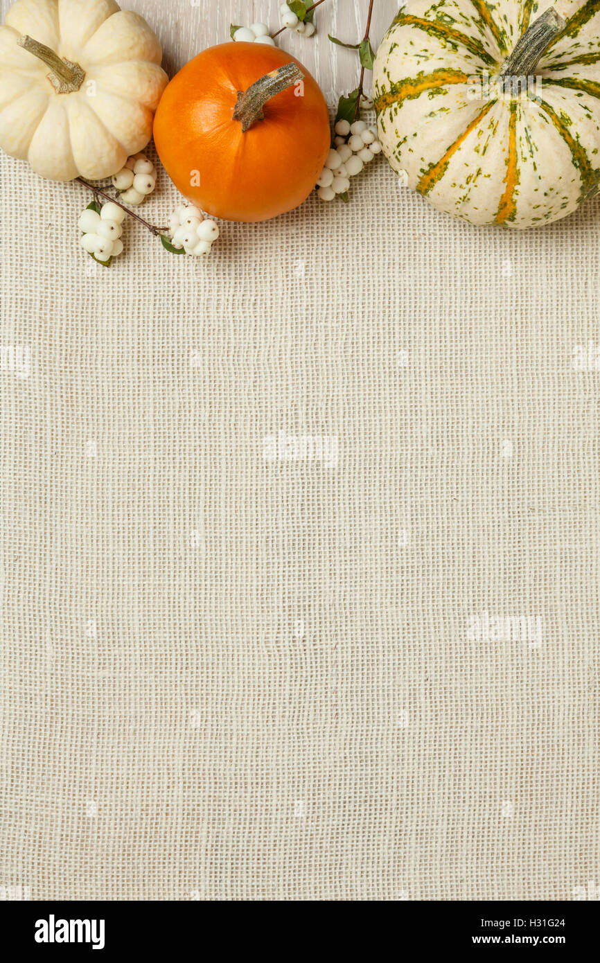 Miniature pumpkins on rustic wood and burlap cloth background. Simple ...
