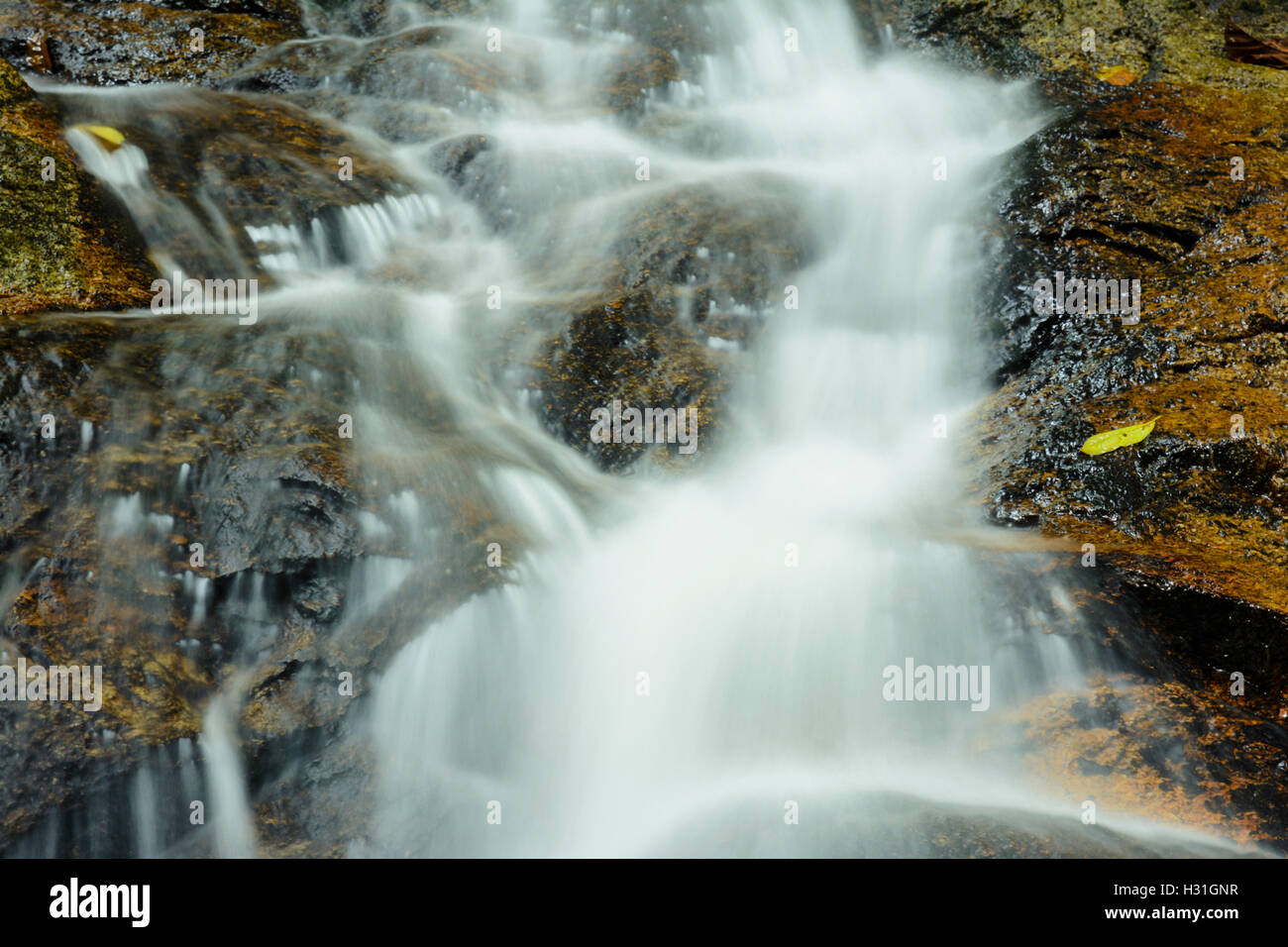 Waterfall at FRIM Kepong Stock Photo - Alamy