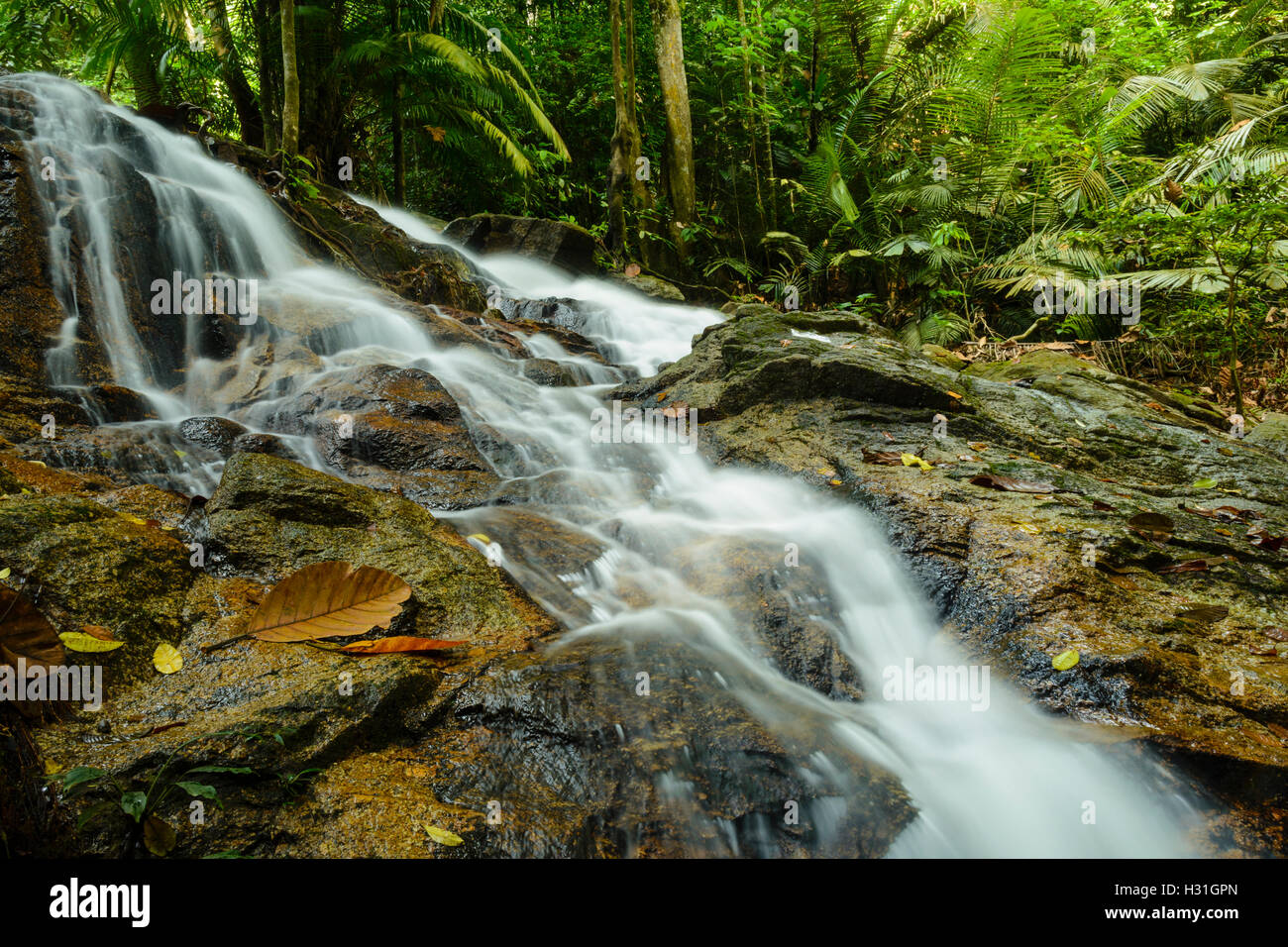 Waterfall at FRIM Kepong Stock Photo - Alamy