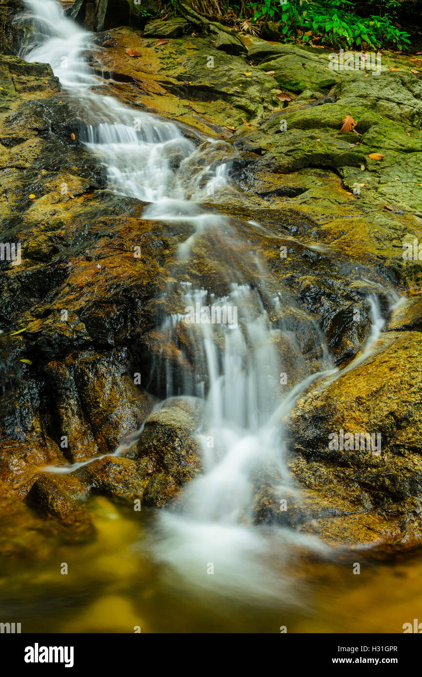 Waterfall at FRIM Kepong Stock Photo - Alamy