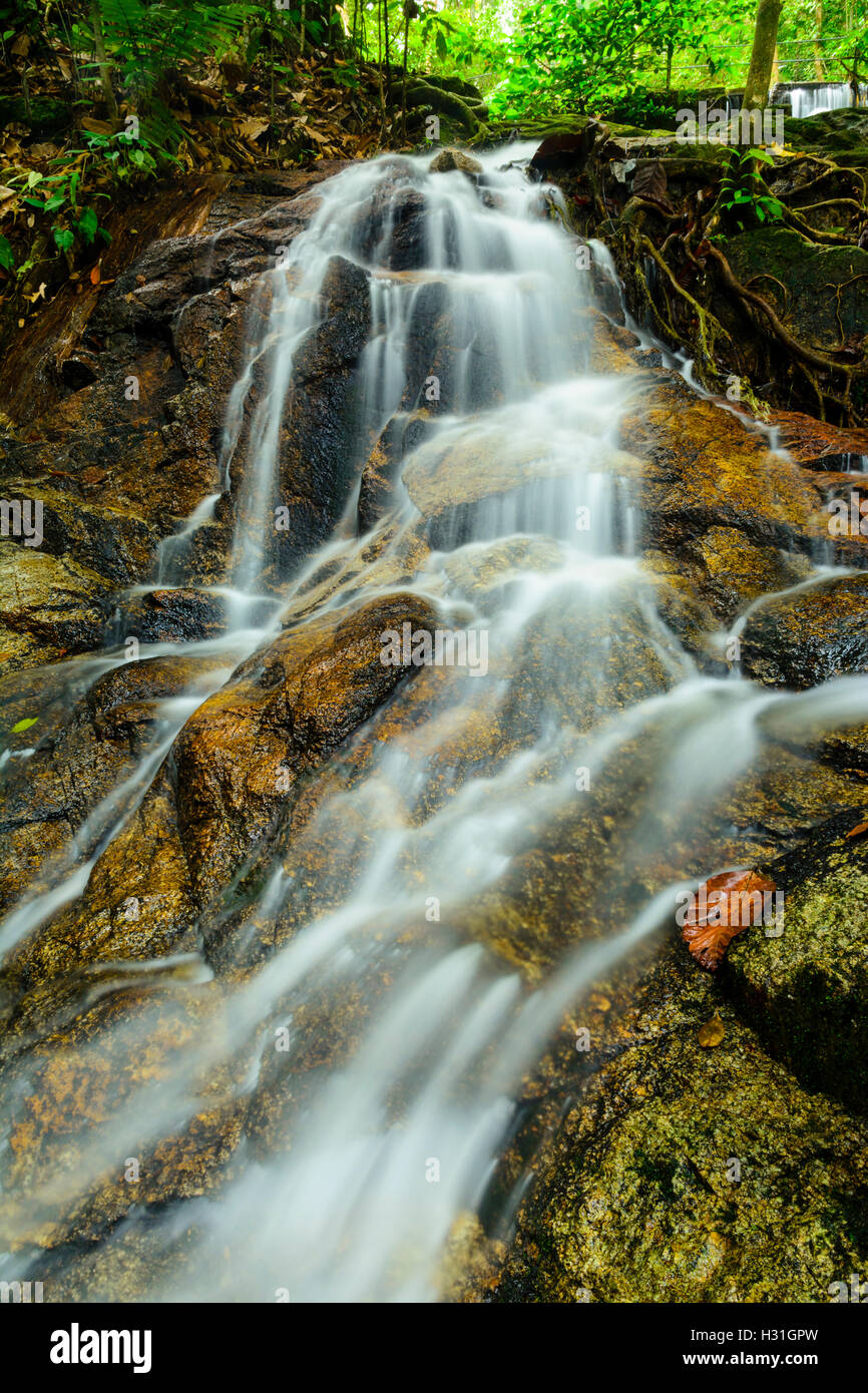 Waterfall at FRIM Kepong Stock Photo - Alamy