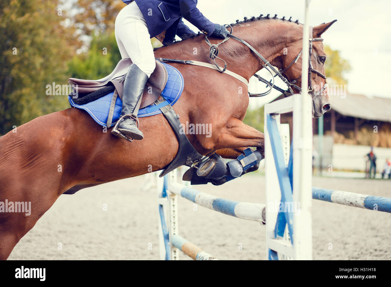 Equestrian sport background. Young sportswoman taking her course on ...