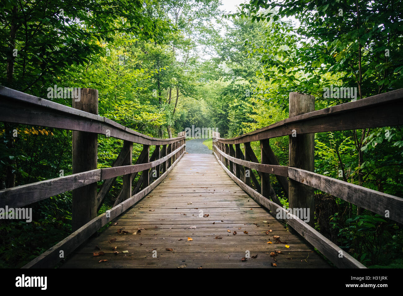 Walking bridge on the Limberlost Trail in Shenandoah National Park ...