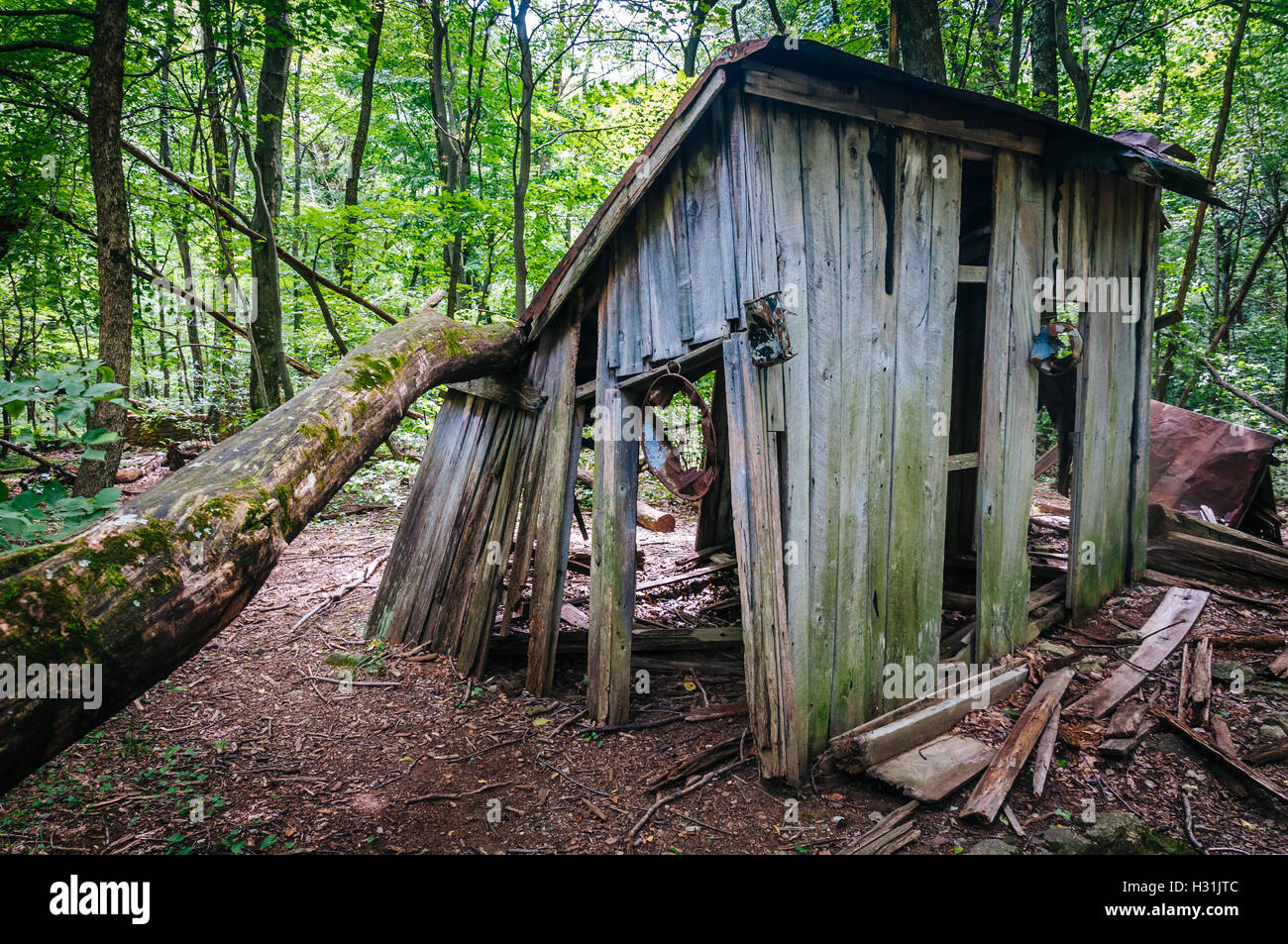 Pocosin mission hi-res stock photography and images - Alamy