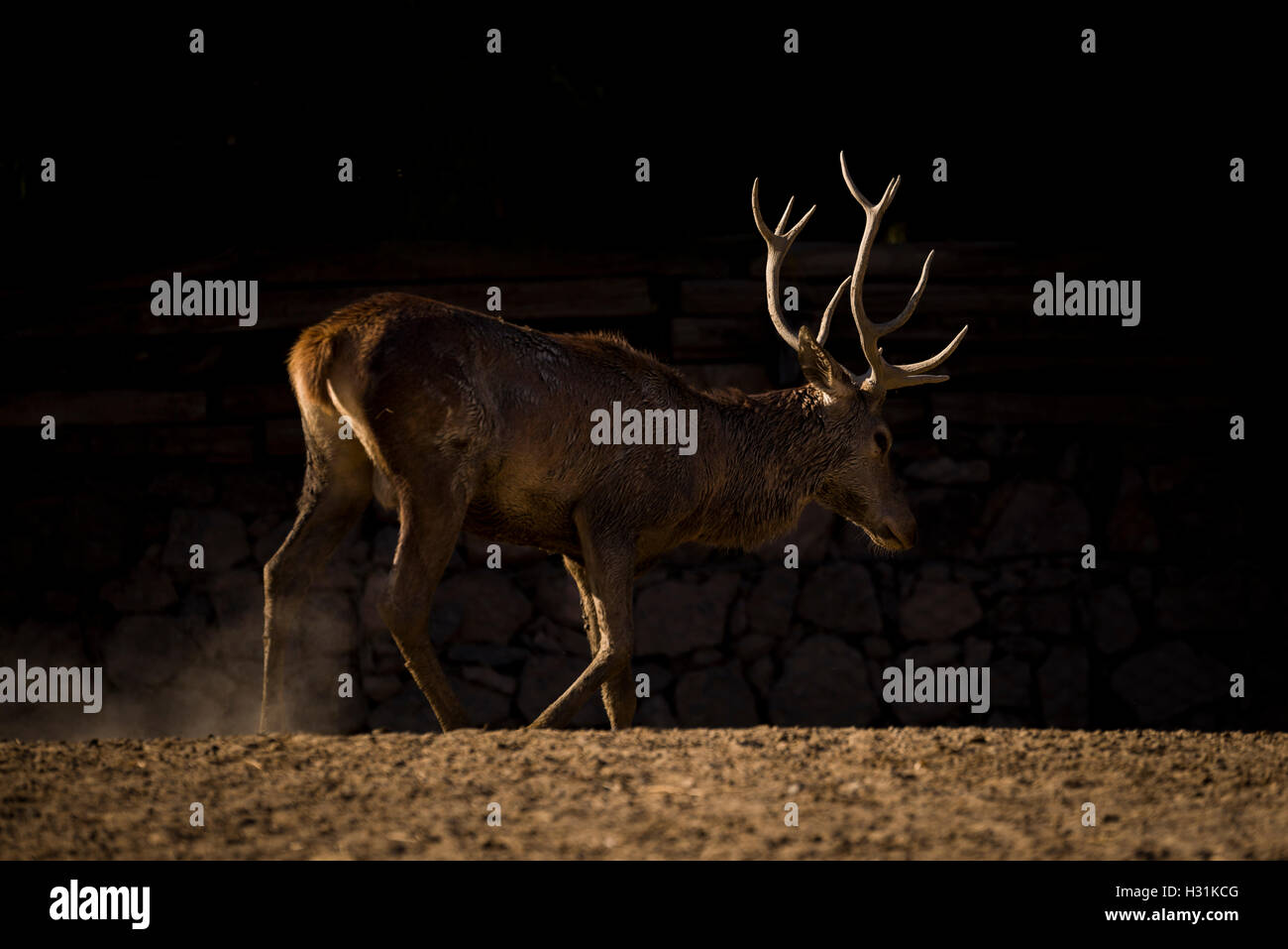 Contour light hi-res stock photography and images - Alamy