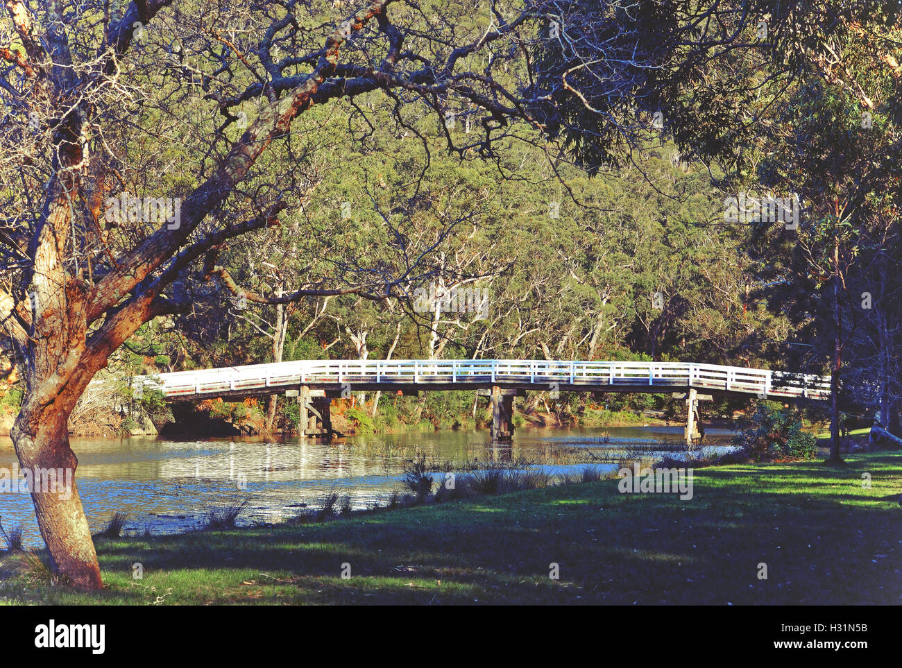 Royal national park hi-res stock photography and images - Alamy