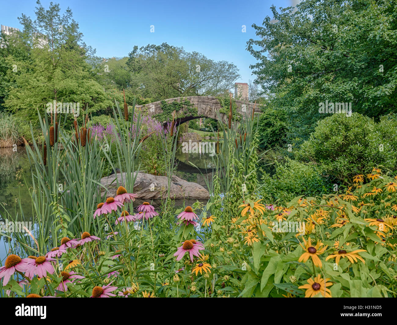 Gapstow Bridge is one of the icons of Central Park, Manhattan in New ...