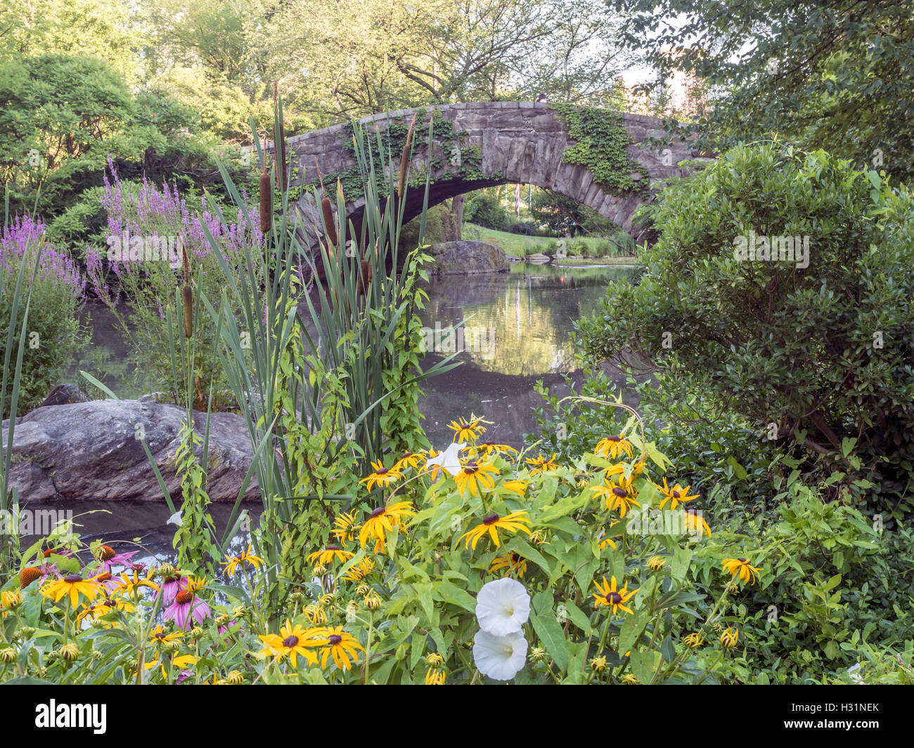 Gapstow Bridge is one of the icons of Central Park, Manhattan in New ...