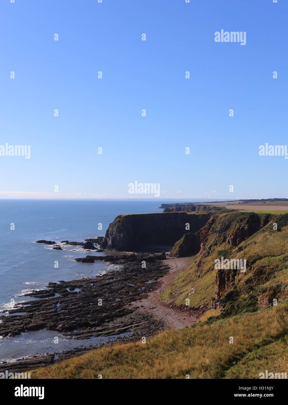 Angus Scotland October 2016 Stock Photo - Alamy