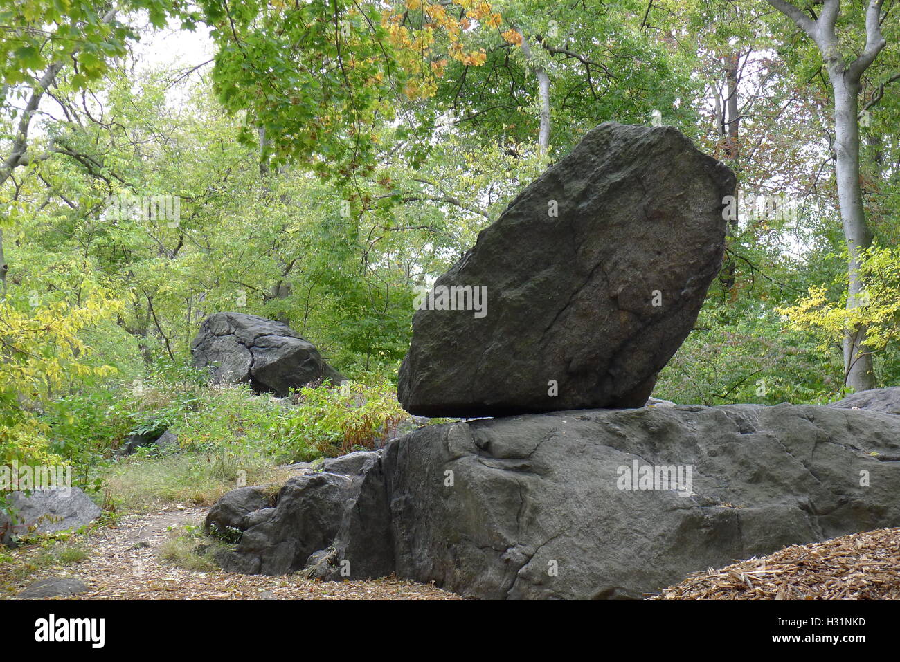 Rock in the woods hi-res stock photography and images - Alamy