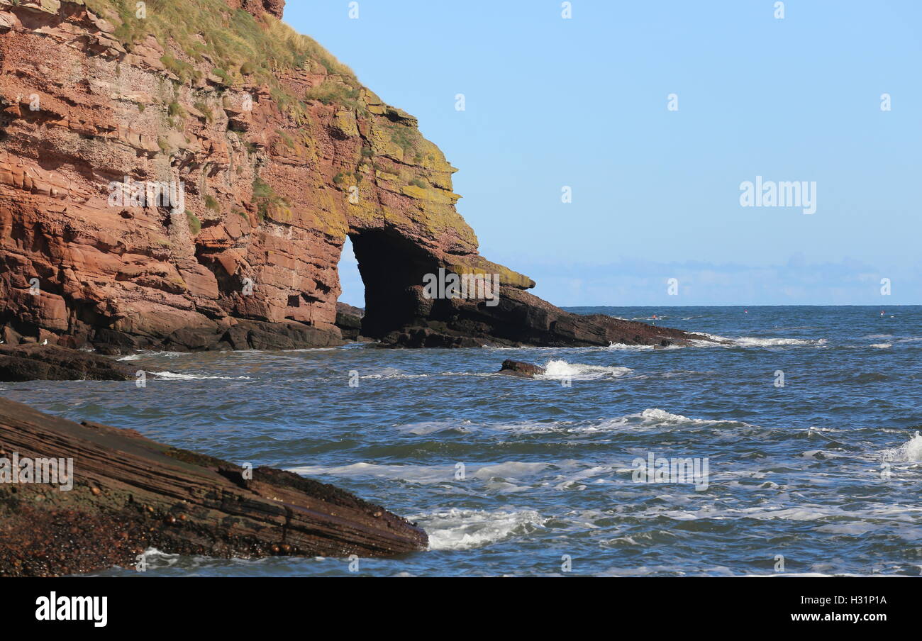 Rock arch in Maw Skelly headland Angus Scotland October 2016 Stock ...