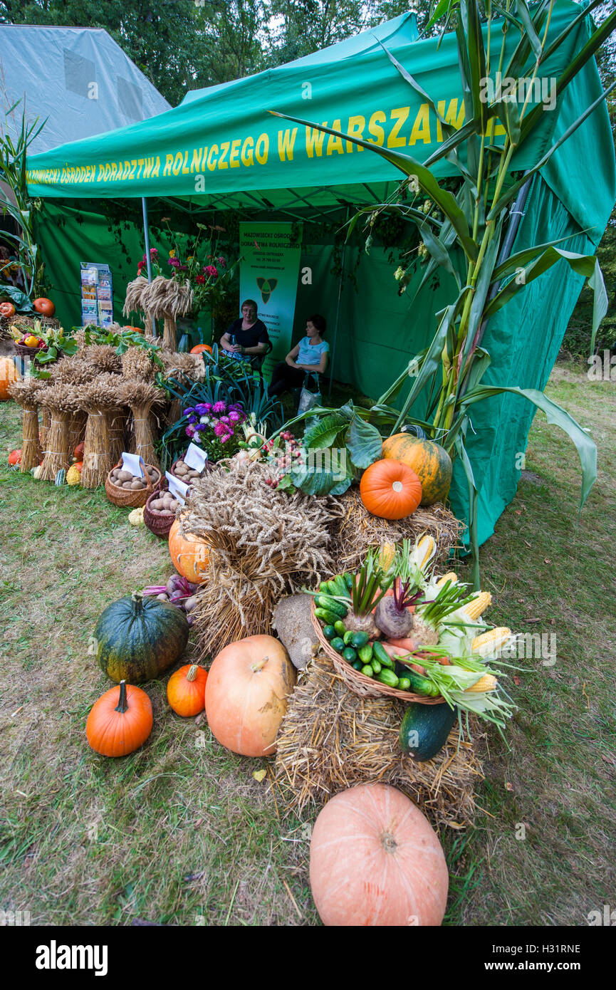 Roman-Catholic parish festival in a small chapel in Mazovia district of ...