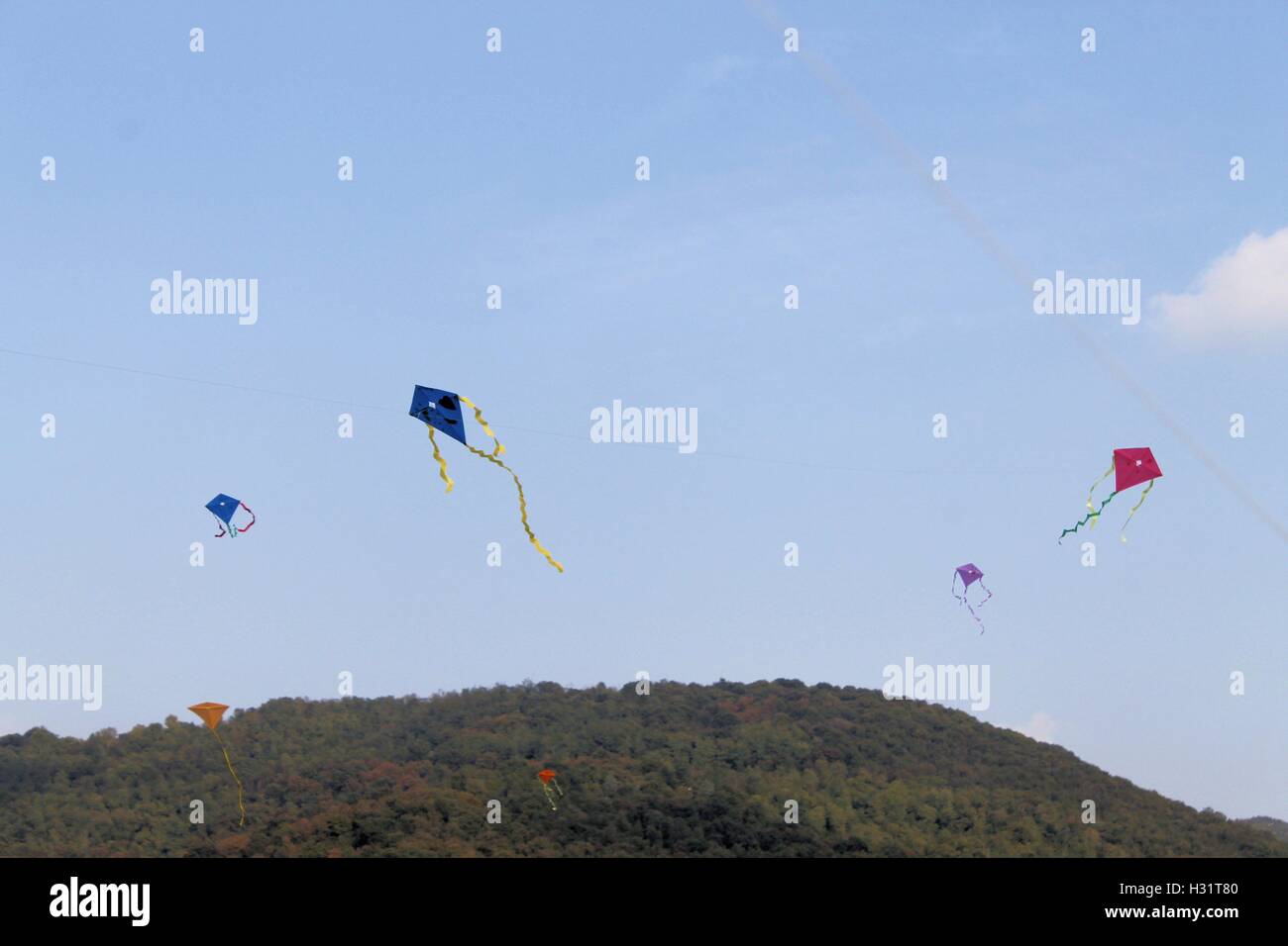Kites festival italy hi-res stock photography and images - Alamy