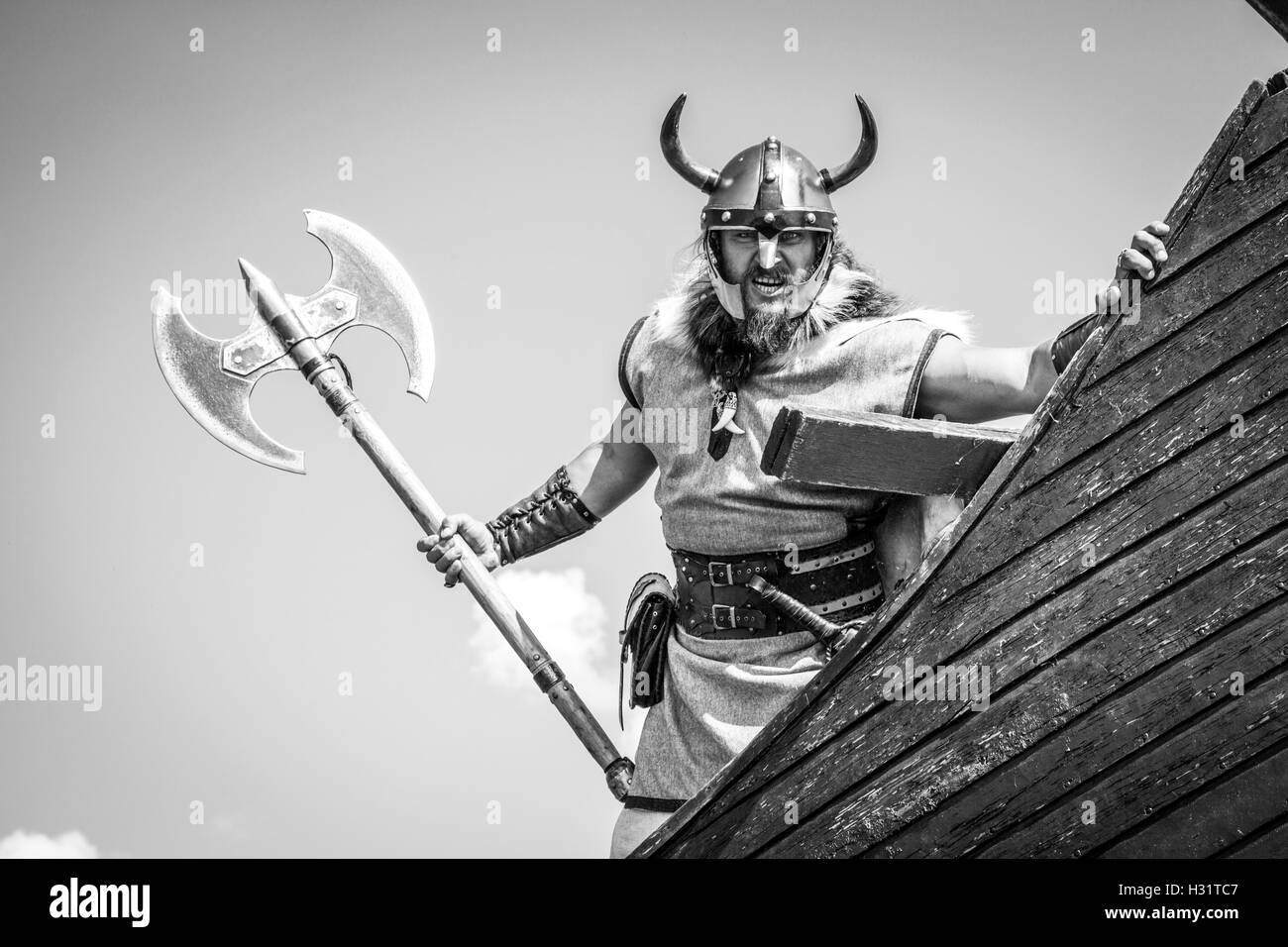 Viking axe hi-res stock photography and images - Alamy