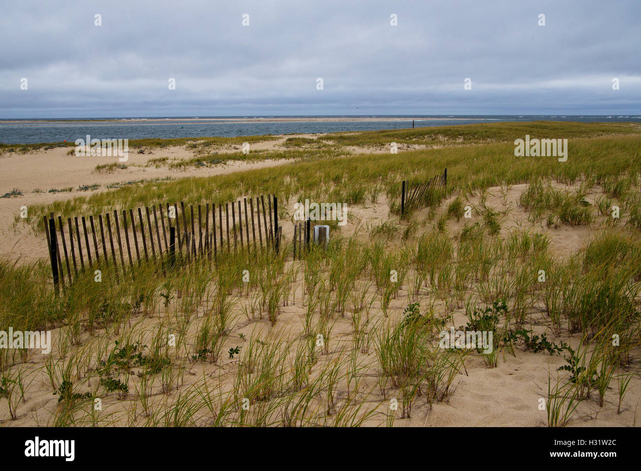 A beach on the Cape Cod with sand dunes Stock Photo - Alamy