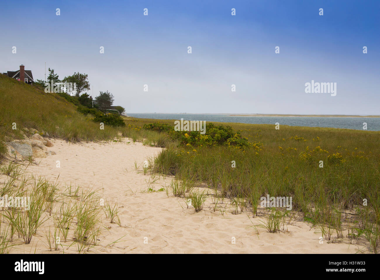A beach on the Cape Cod with sand dunes Stock Photo - Alamy