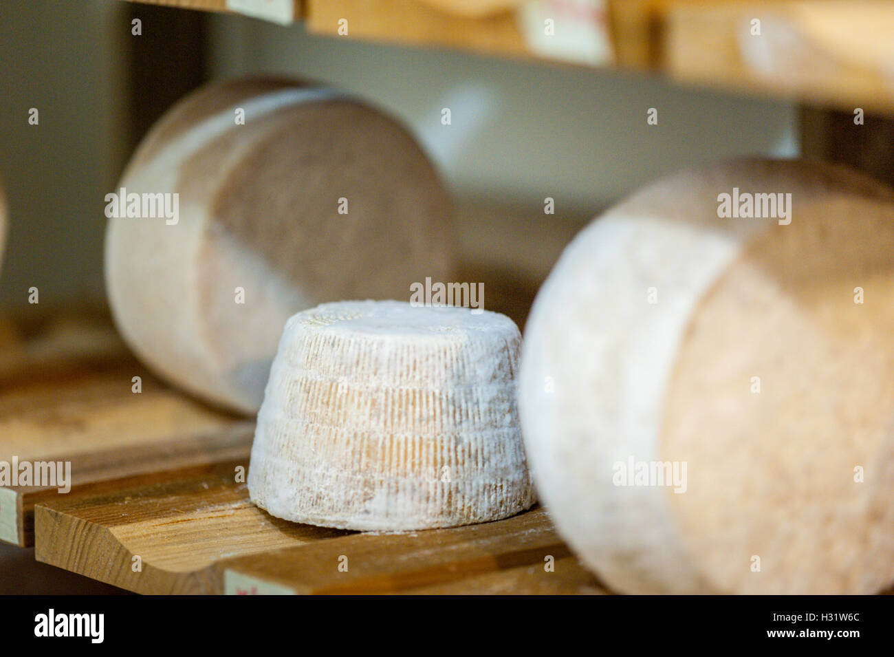 Block of goat cheese at a dairy farm in Harrison, Maine Stock Photo - Alamy