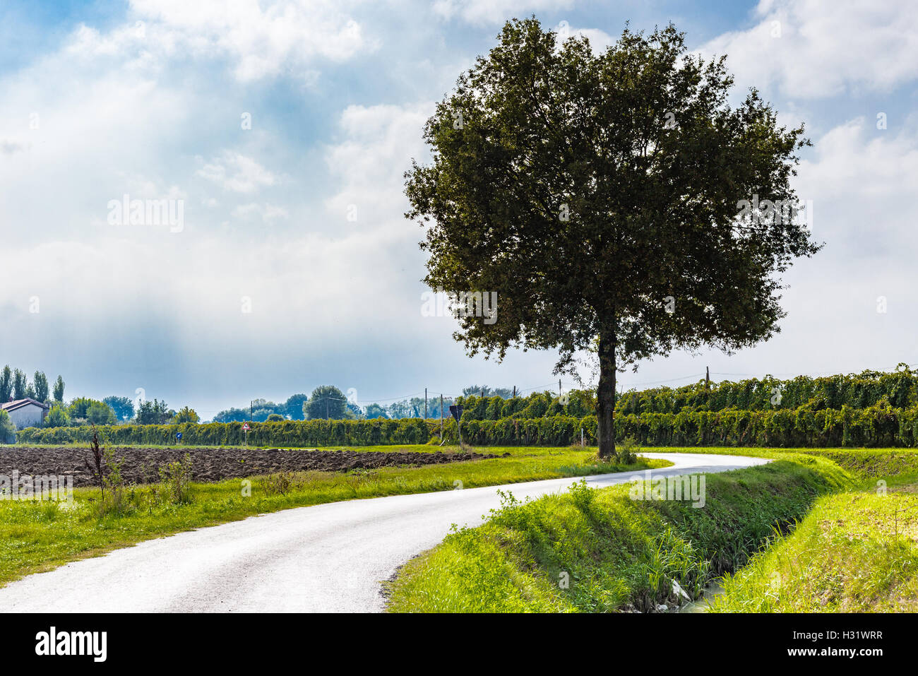 Serpentine running hi-res stock photography and images - Alamy